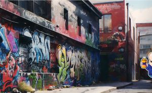 Ziyka Restaurant, Carlton - Restaurant menu, prices and reviews