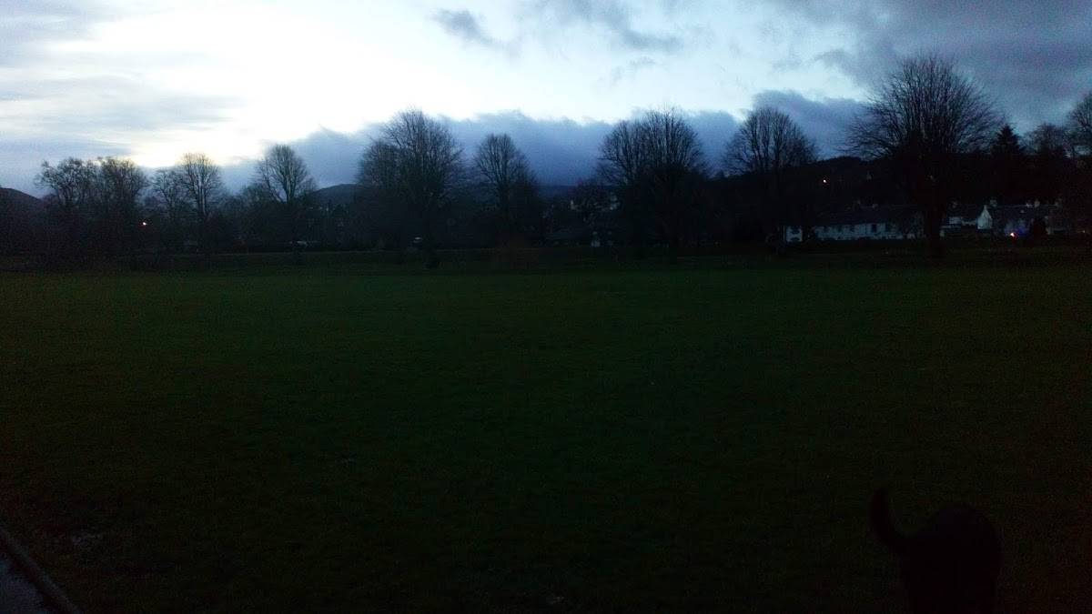 Menu at Green Tree Hotel pub & bar, Peebles