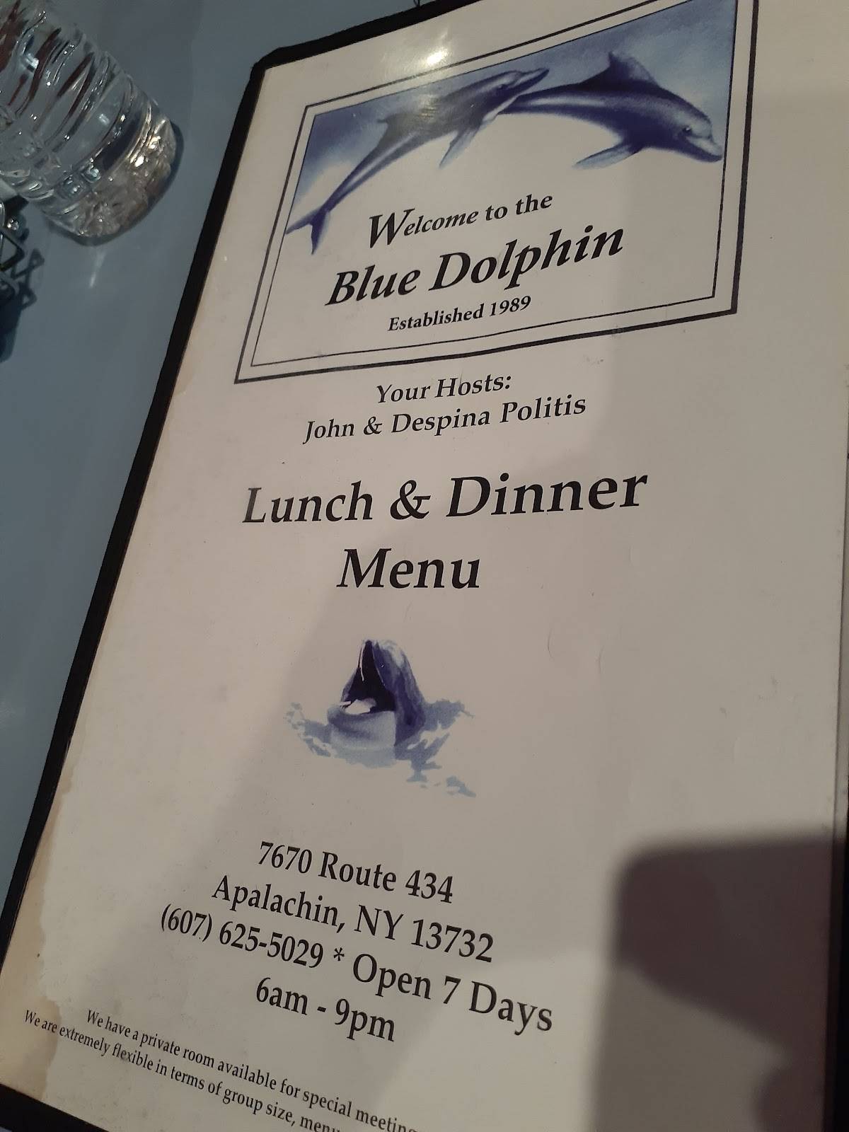 Menu at Blue Dolphin restaurant, Apalachin, NY-434