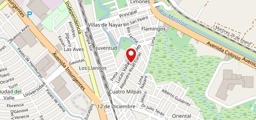 Alas Alitas Hamburguesas restaurant, Tepic - Restaurant reviews