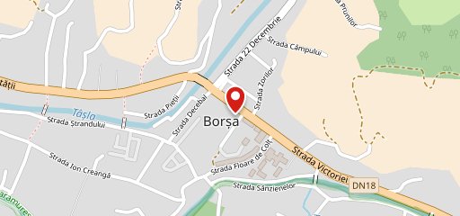 Bistro Aloha, Borșa - Restaurantbewertungen