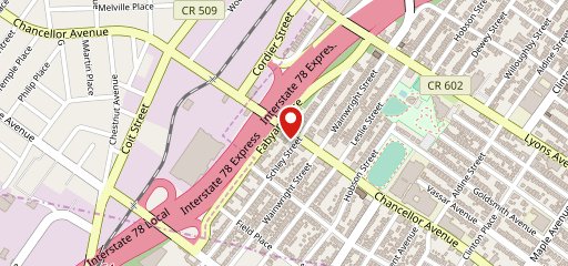 Amin's Chinese Halal Food, Newark - Restaurant menu, prices and reviews