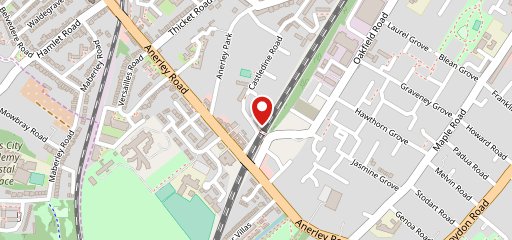 Anerley Arms, London - Restaurant menu, prices and reviews