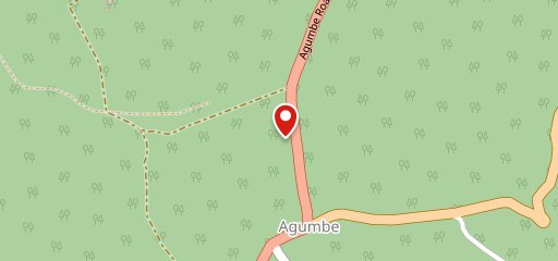 Bhumiputra Bar & Restaurant, Agumbe - Restaurant reviews