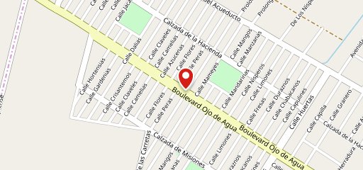 Bonpane, Ojo de Agua - Menú del restaurante, precios y reseñas