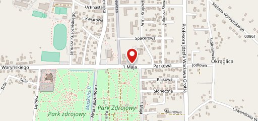 Bristol Busko ART & Medical SPA restaurant, Busko-Zdrój - Restaurant ...