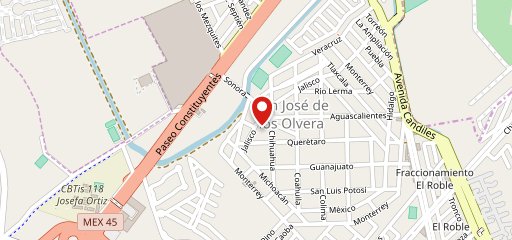 Carnitas La Flor de Michoacán restaurant, San José de los Olvera ...