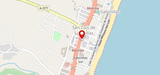 Delfines in Puerto de la Duquesa