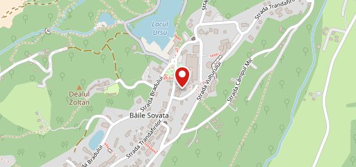 Eagle Restaurant, Sovata - Restaurant menu, prices and reviews