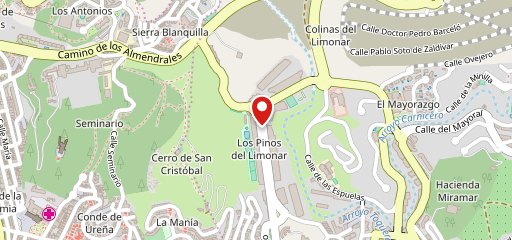 El Mesoncito Del Limonar, Málaga - Menú del restaurante, precios y reseñas