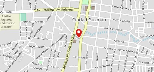 El Patron Bar & Grill, Ciudad Guzmán - Opiniones del restaurante