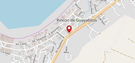 El Rincon, Rincón de Guayabitos - Menú del restaurante, precios y reseñas