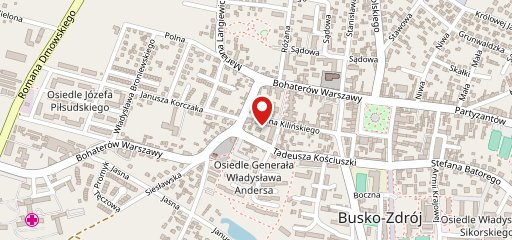 FENIAN KEBAB &RESTAURACA BUSKO-ZDROJ, Busko-Zdrój - Restaurant reviews