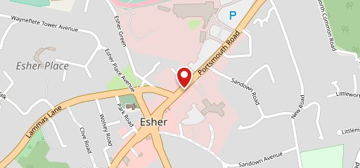 The Good Earth, Esher - Restaurant menu, prices and reviews