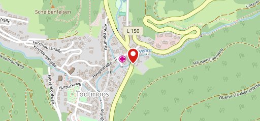 Jägerstüble, Todtmoos - Speisekarte, Preise und Bewertungen