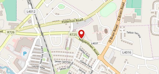 Jasmine Chinese Restaurant, Carlow - Restaurant menu, prices and reviews