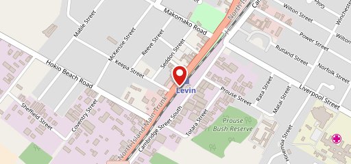 Kiwi Grill, Levin - Restaurant menu, prices and reviews