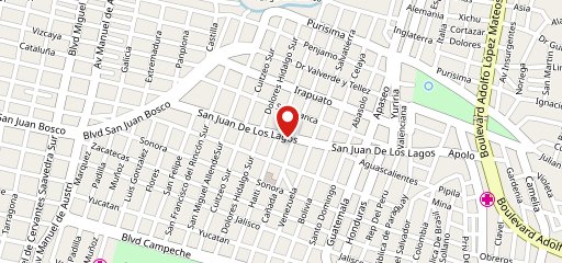 Restaurante La Super Birria, Leon - Opiniones del restaurante