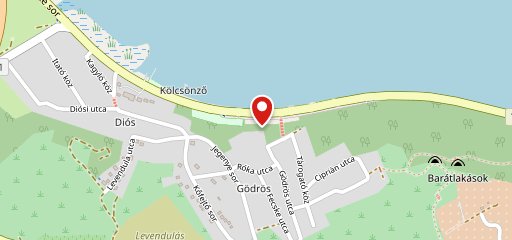 Lakeside Buffet restaurant, Tihany - Restaurant reviews