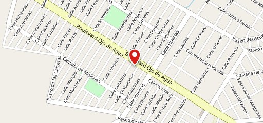 Restaurante Mamut Grill, Ojo de Agua - Menú del restaurante, precios y ...