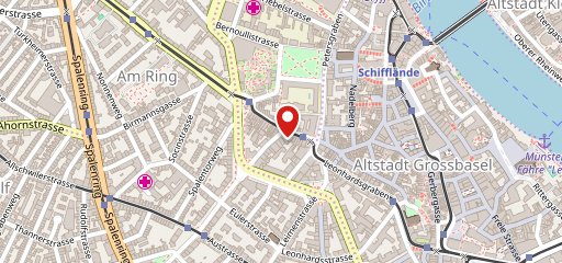 Mandir Indisches Restaurant, Basel - Restaurant reviews