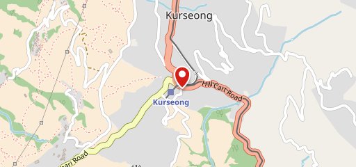 Maya Restaurant, Kurseong - Restaurant reviews