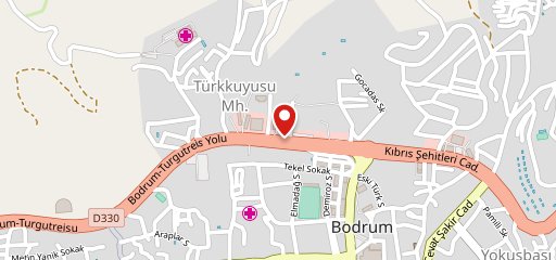 Meraklı Şırdan Bodrum, Bodrum - Restaurant reviews