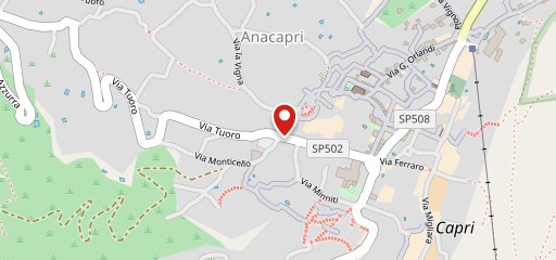 Gastronomia ristorante, Anacapri - Menu e recensioni del ristorante