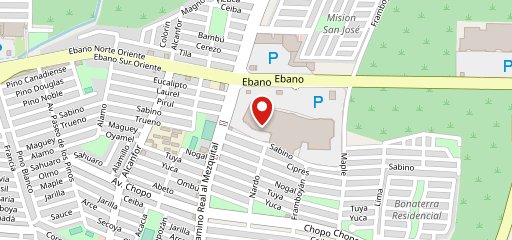 Momiji Express "Comida China", Apodaca - Menú del restaurante, precios ...