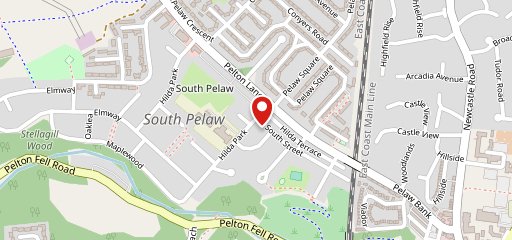 South Pelaw Chinese Takeaway, Chester-le-Street - Restaurant menu ...