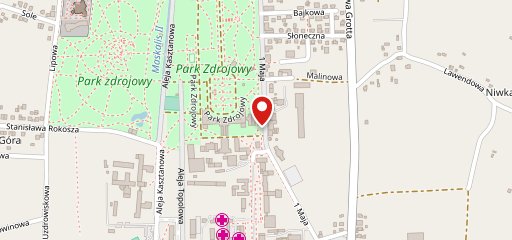 Restauracja Belwederska, Busko-Zdrój - Restaurant menu, prices and reviews