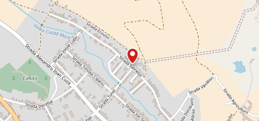 Restaurant Mina Turda, Turda - Restaurant menu, prices and reviews