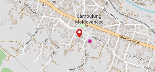 Restaurant Parc (Park Restaurant), Câmpulung Moldovenesc - Restaurant ...