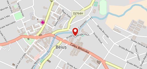 Restaurant pensiune Mario, Beiuș - Restaurant reviews