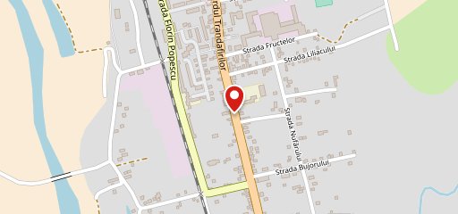 Restaurant Valahia, Pucioasa - Restaurant menu, prices and reviews