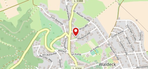 Schnitzelhaus "Zum Bärental", Waldeck - Speisekarte, Preise und Bewertungen