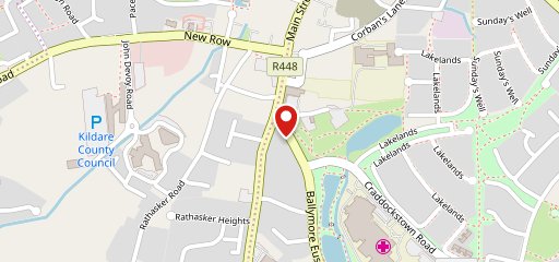 Swans on the Green, Naas - Restaurant menu, prices and reviews