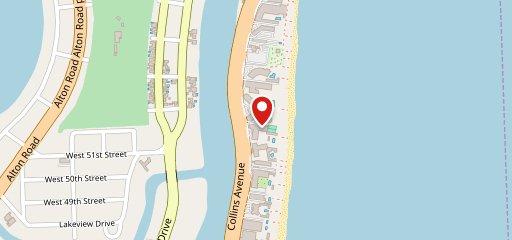 The House of the Purrrrring Kitty and the Roaring Lion in Miami Beach