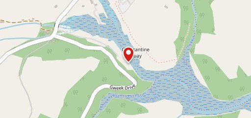 The Little Boat Bar in Newquay - Restaurant reviews