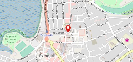 The Phoenix in Exmouth - Restaurant reviews
