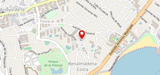 The Swan, Av. Gamonal in Benalmádena - Restaurant reviews