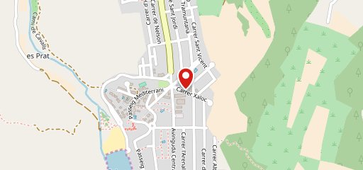 The Village Pub, Cala en Porter - Menú del restaurante, precios y reseñas