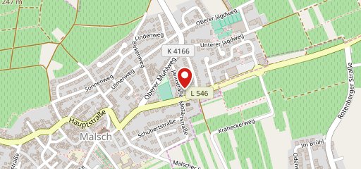 Gasthaus Zur Traube /Partyservice, Malsch - Speisekarte, Preise und ...