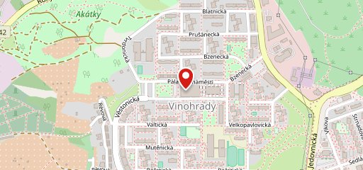 U Pagáta restaurant, Brno - Restaurant menu and reviews