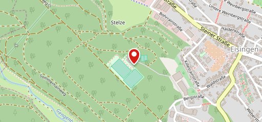 Gaststätte Waldstadion restaurant, Eisingen - Restaurantbewertungen