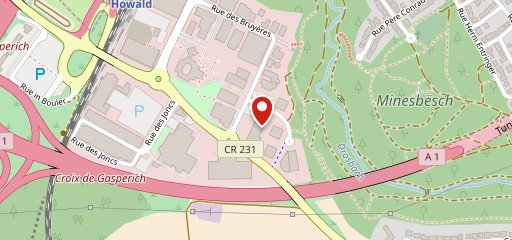 YOYO Howald, Hesperange - Menu du restaurant, prix et avis