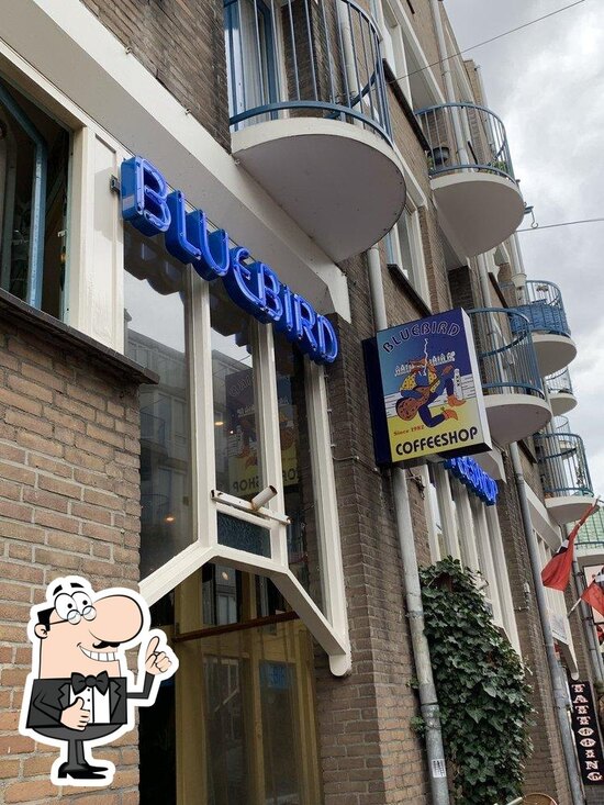 Menu at Coffeeshop Bluebird, Amsterdam, Sint Antoniesbreestraat 71