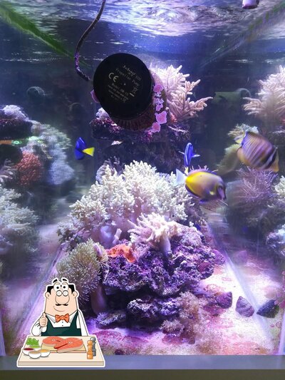 Fast Food Astoria, Ulcinj - Restaurant menu, prices and reviews