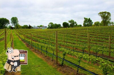 Del Vino Vineyards, Northport - Restaurant menu, prices and reviews