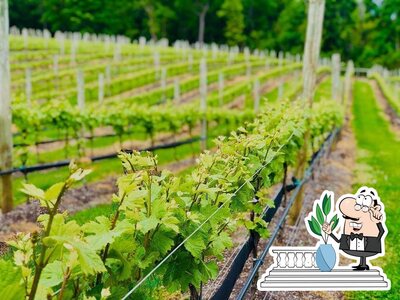 Del Vino Vineyards, Northport - Restaurant menu, prices and reviews